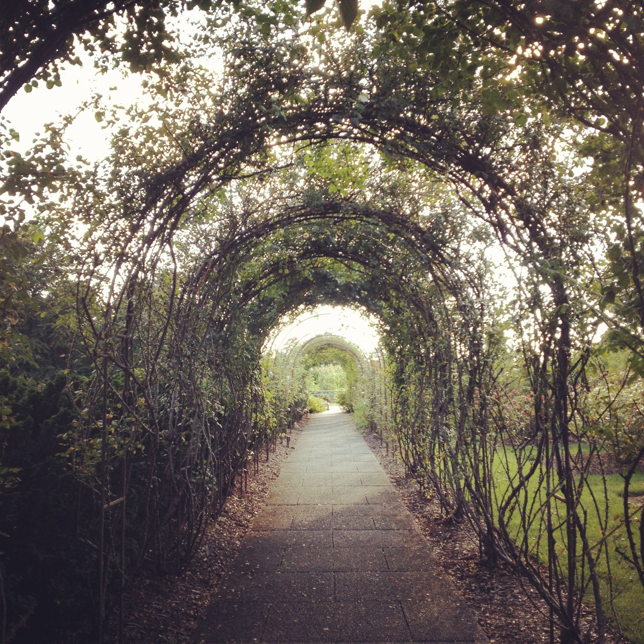 Turning Inward for Alignment